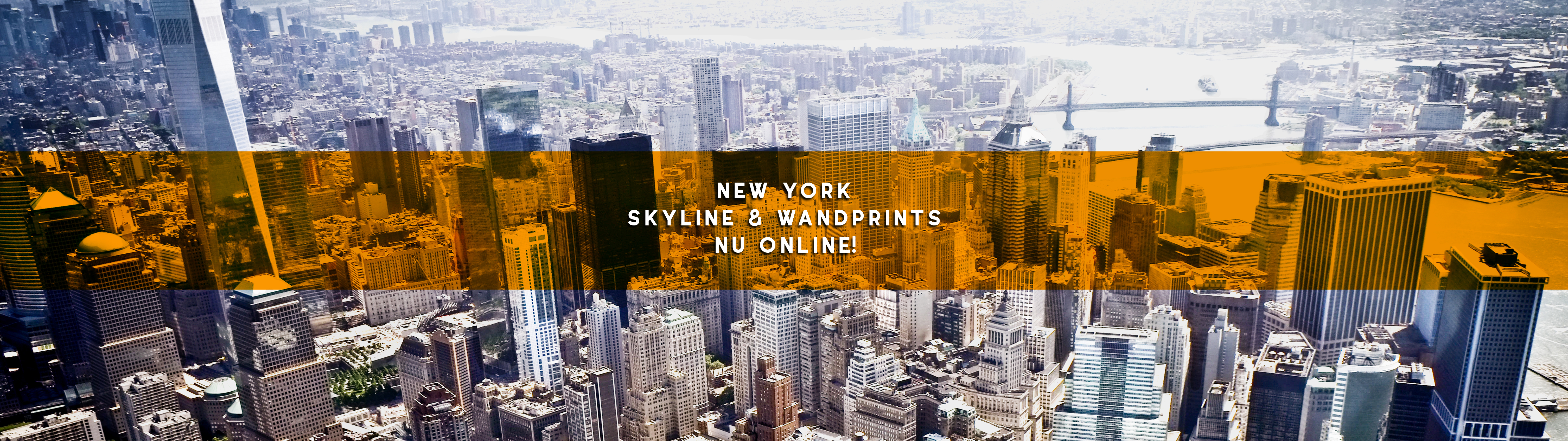 Header_New-York - DUKELINE